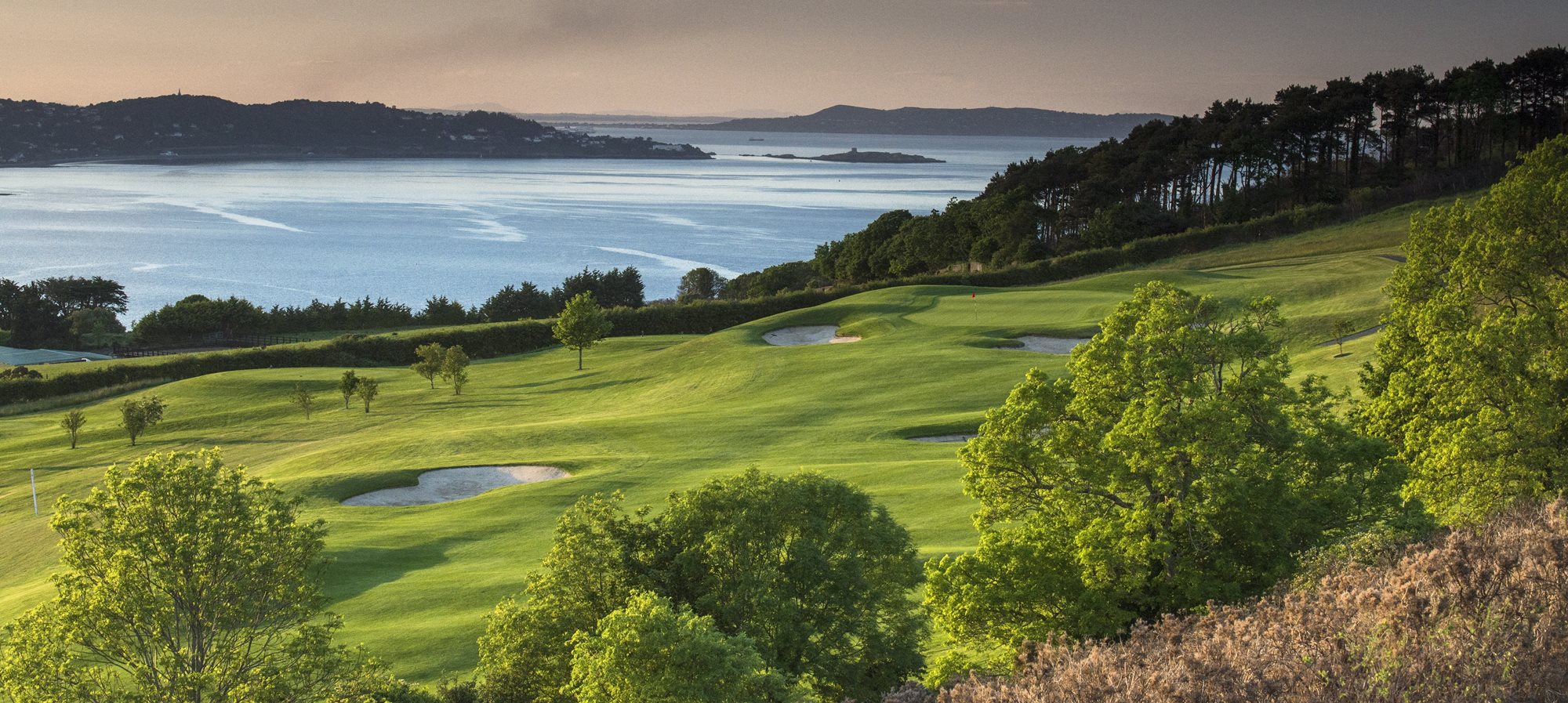 Home - Bray, Co.Wicklow, Ireland
